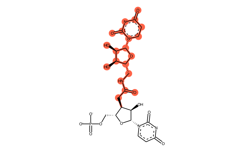 Modomics A Database Of Rna Modifications