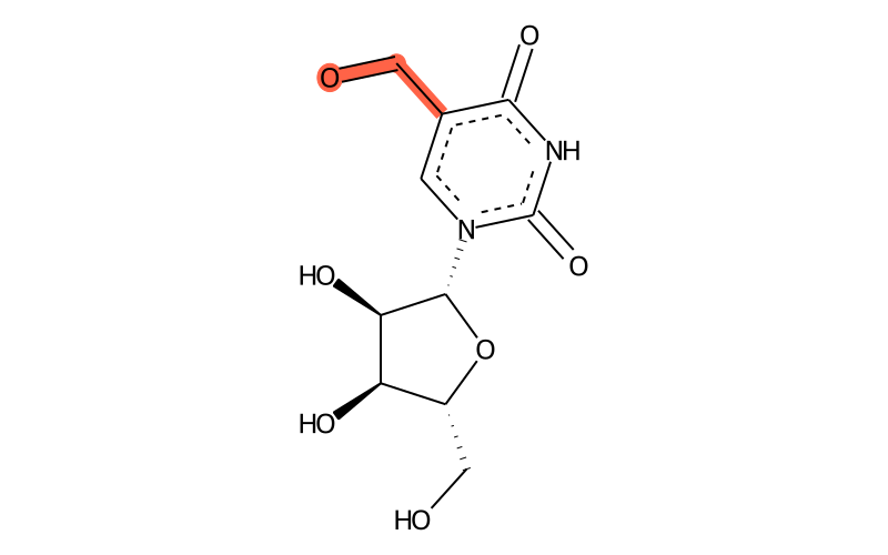 Modomics - A Database of RNA Modifications