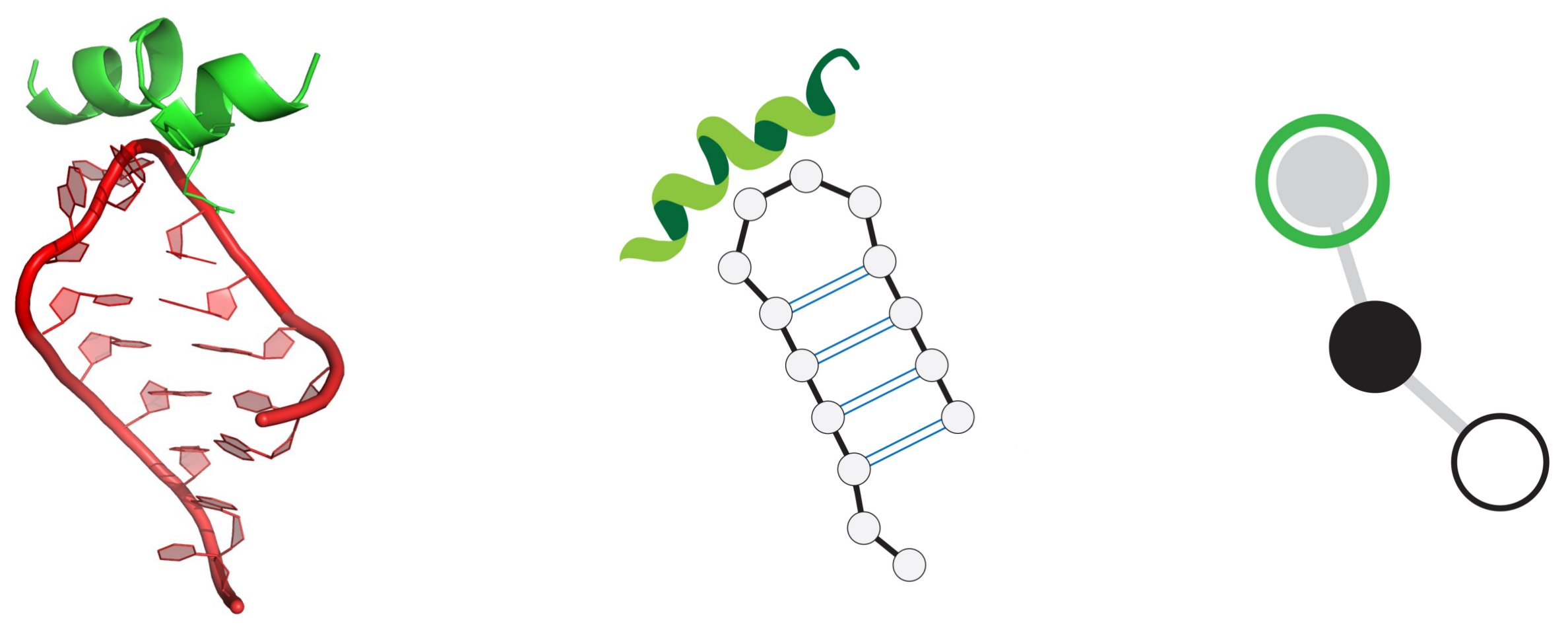 RNA Bricks2 - an updated database of RNA 3D structure motifs and their ...